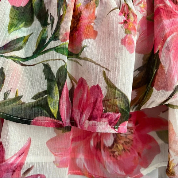 Express | Tops | Express Nwt Floral Ruffle Sheer Blouse Size Xs Pinks ...